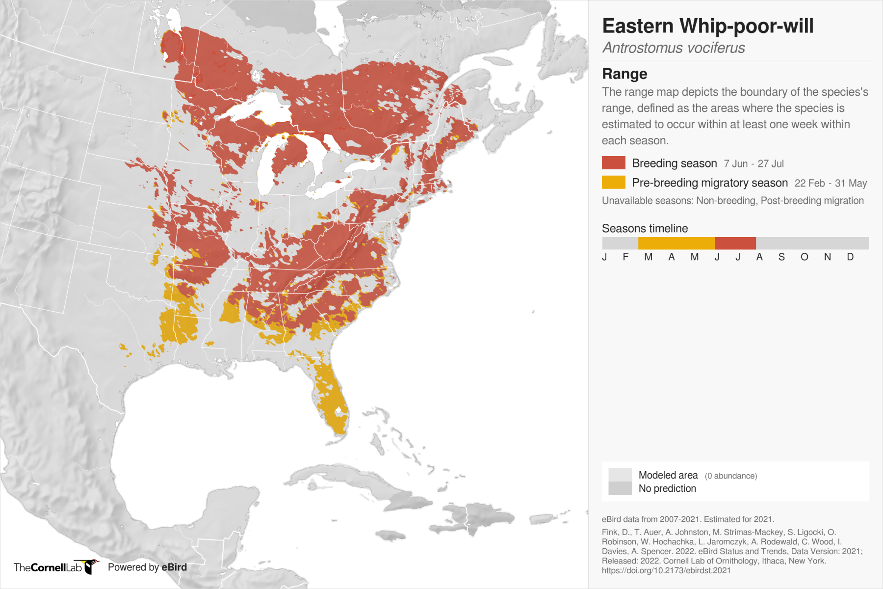 Antrostomus vociferus, eastern whip-poor-will | US Forest Service ...