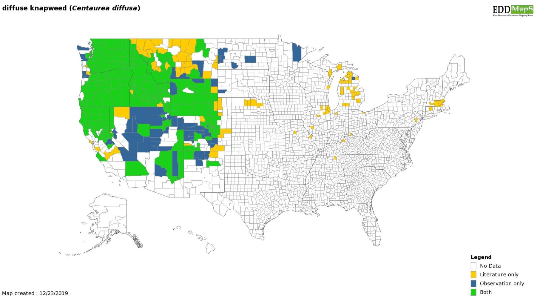 Centaurea diffusa, diffuse knapweed | US Forest Service Research and ...